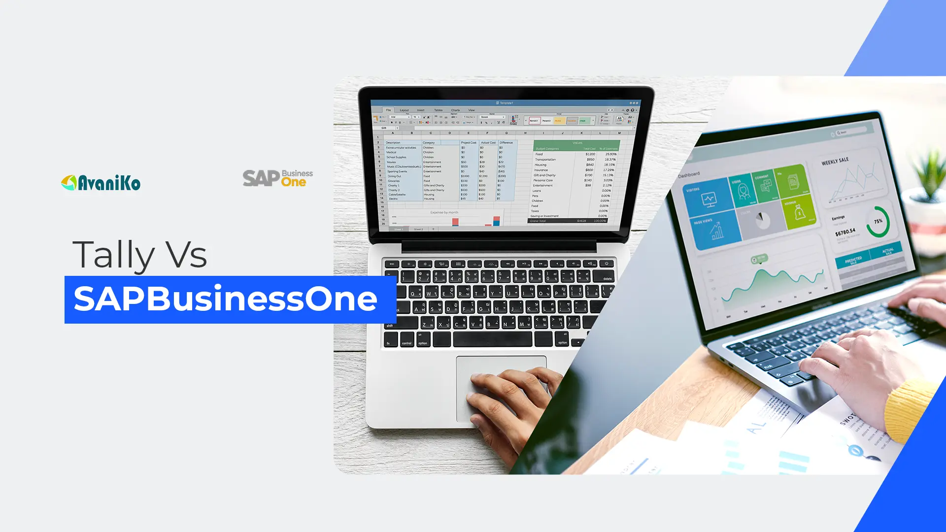 Tally Vs SAP Business One - Avaniko