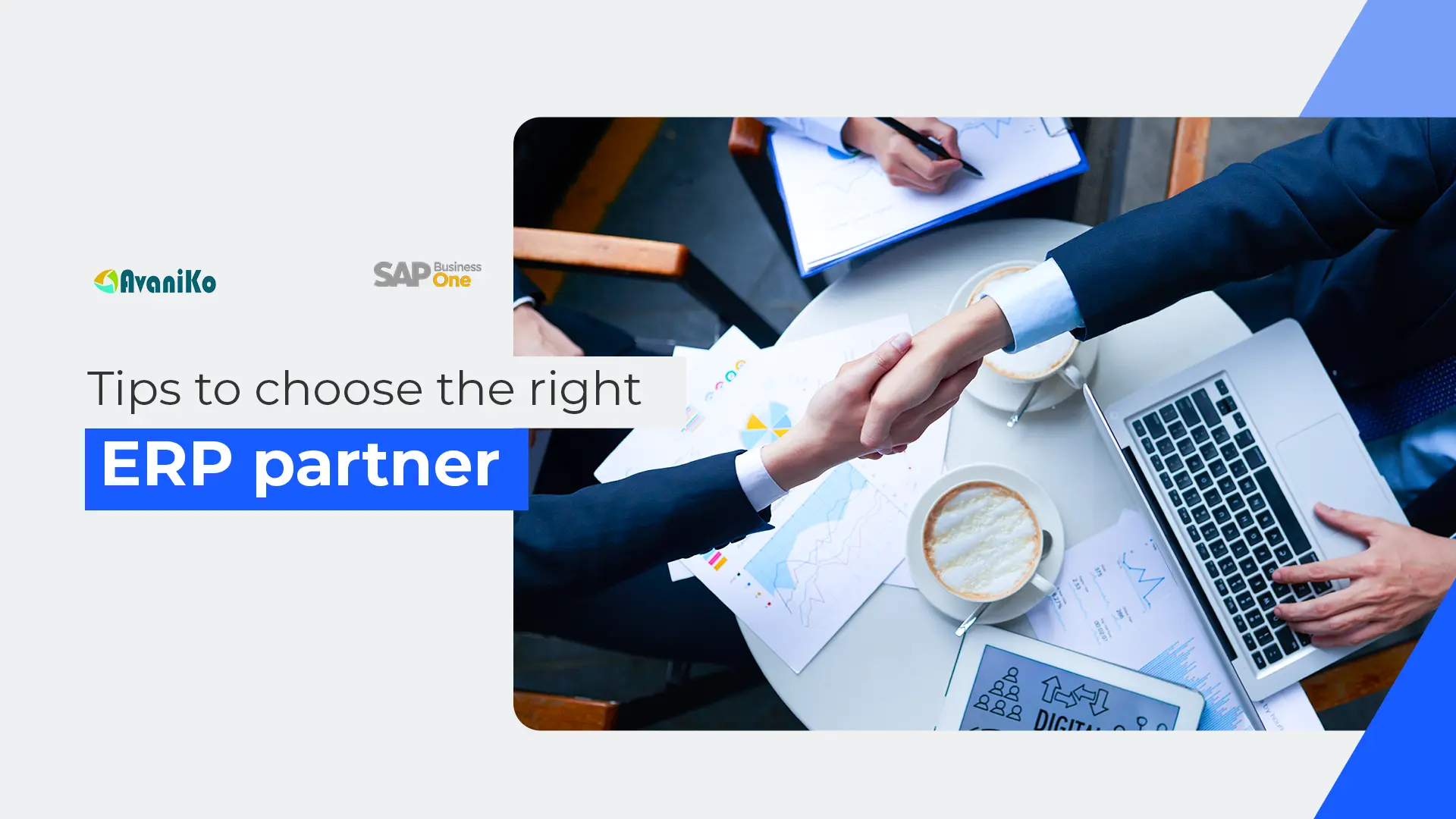 Tips to choose the right ERP partner - Avaniko