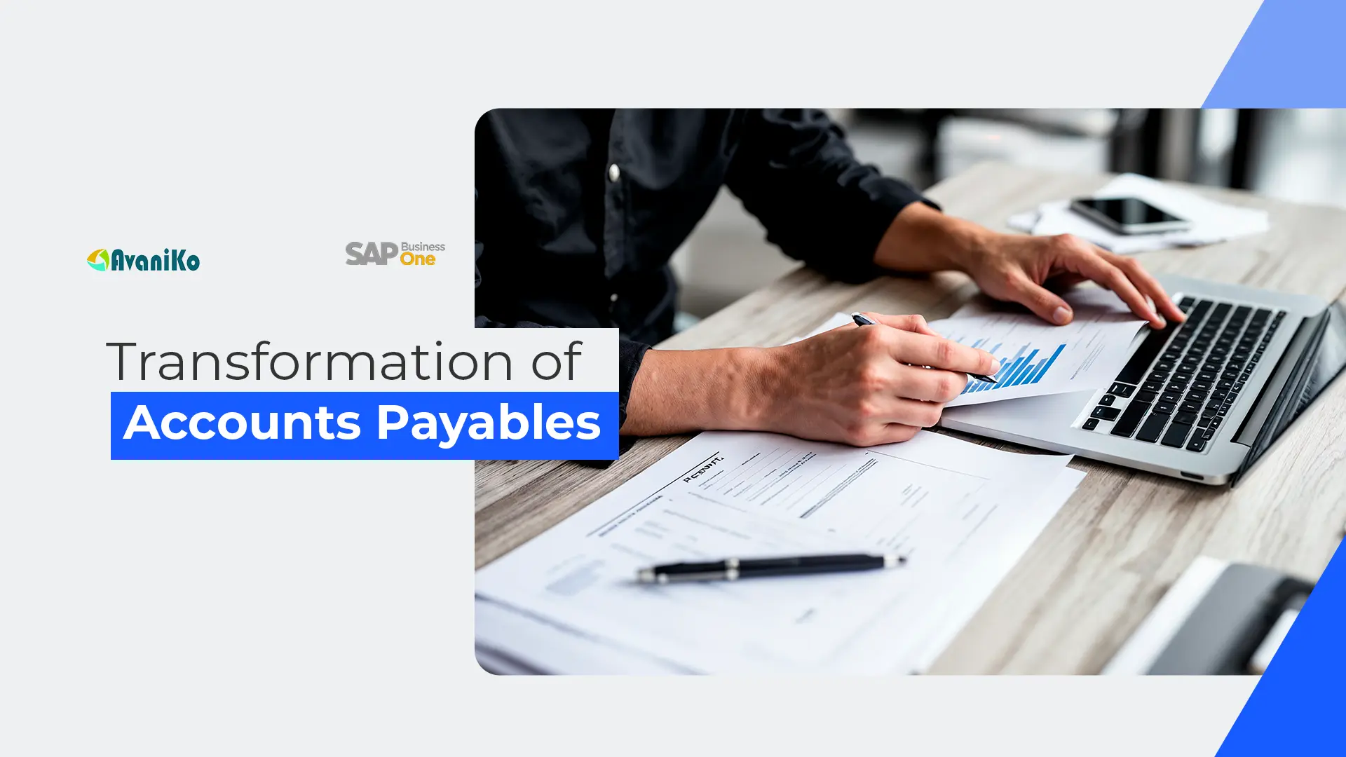 Transformation of Accounts Payables - Avaniko