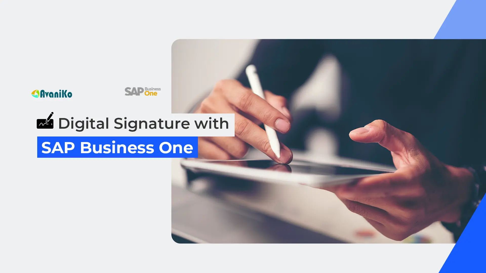 Digital Signature with SAP Business one - Avaniko