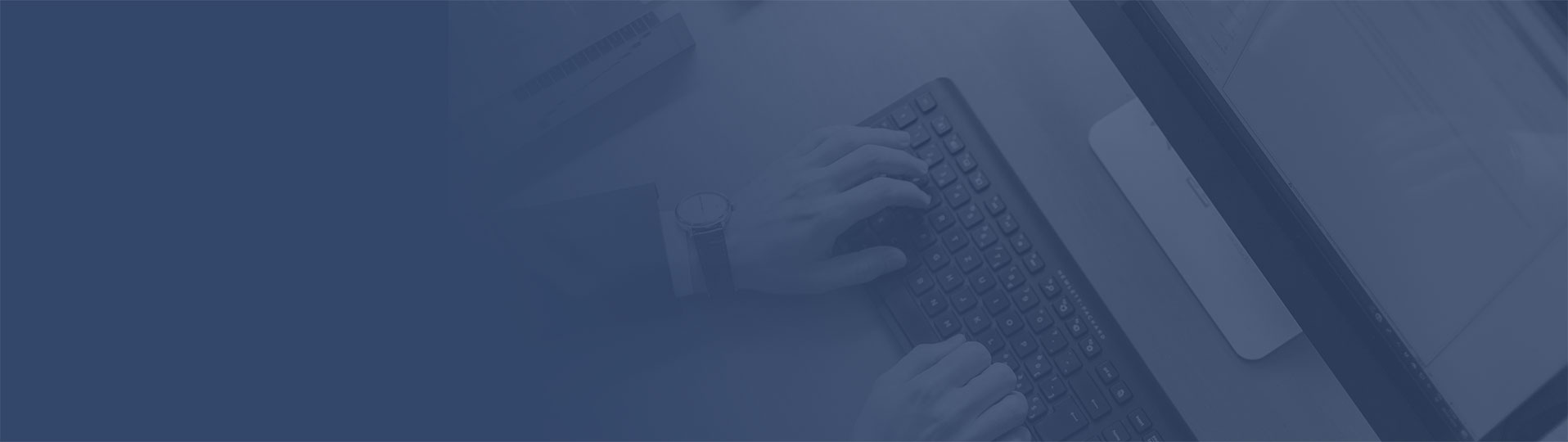 Case Studies - Avaniko