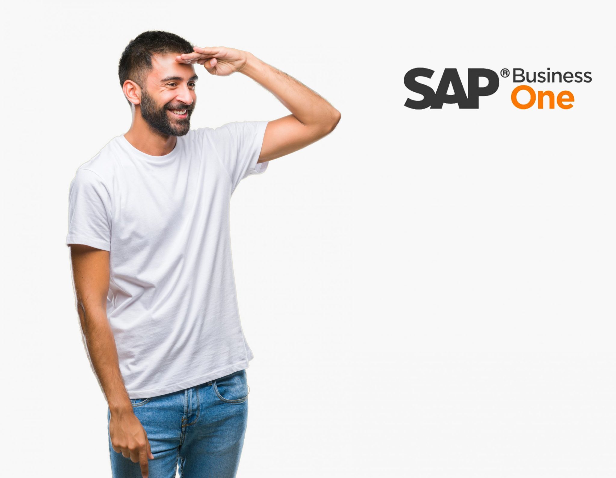 License Free Professional user in SAP Business One - Avaniko