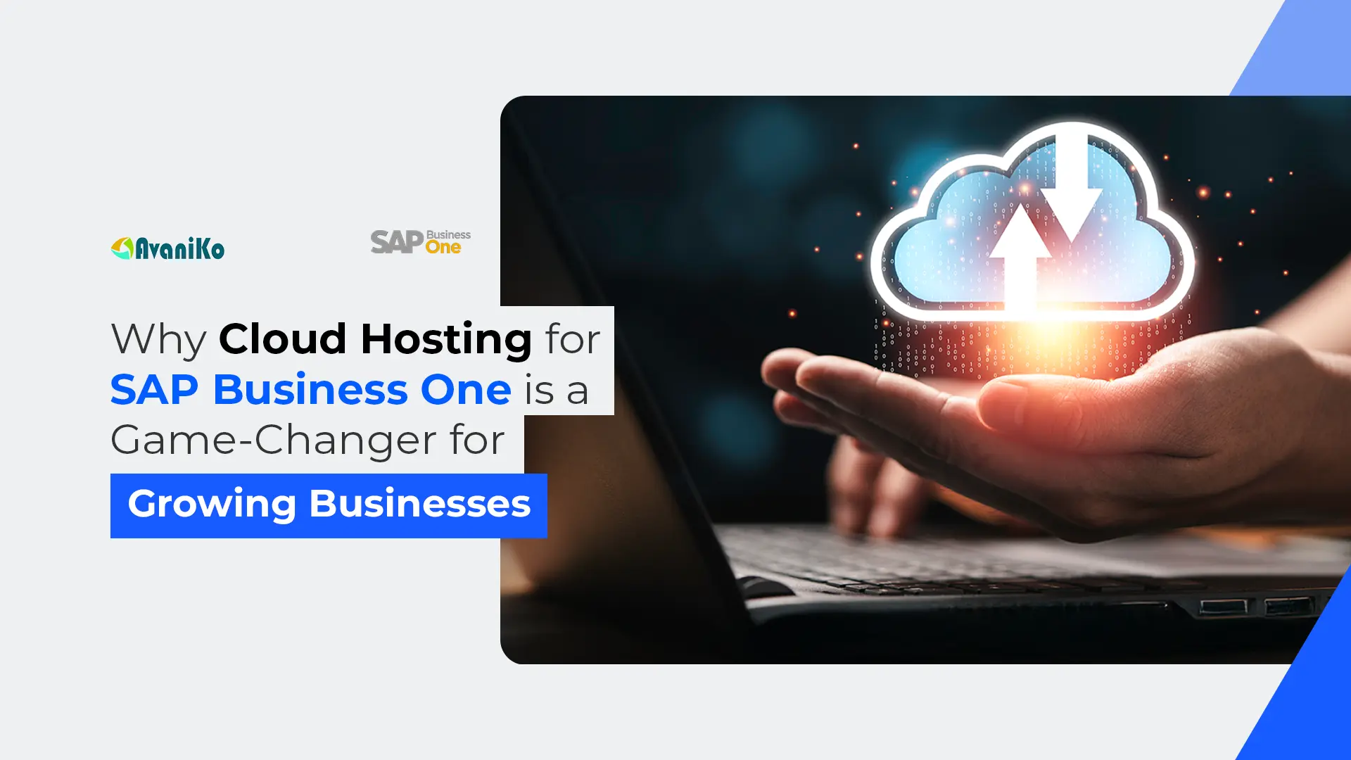 Cloud Hosting for SAP Business One | A Game-Changer for SMEs
