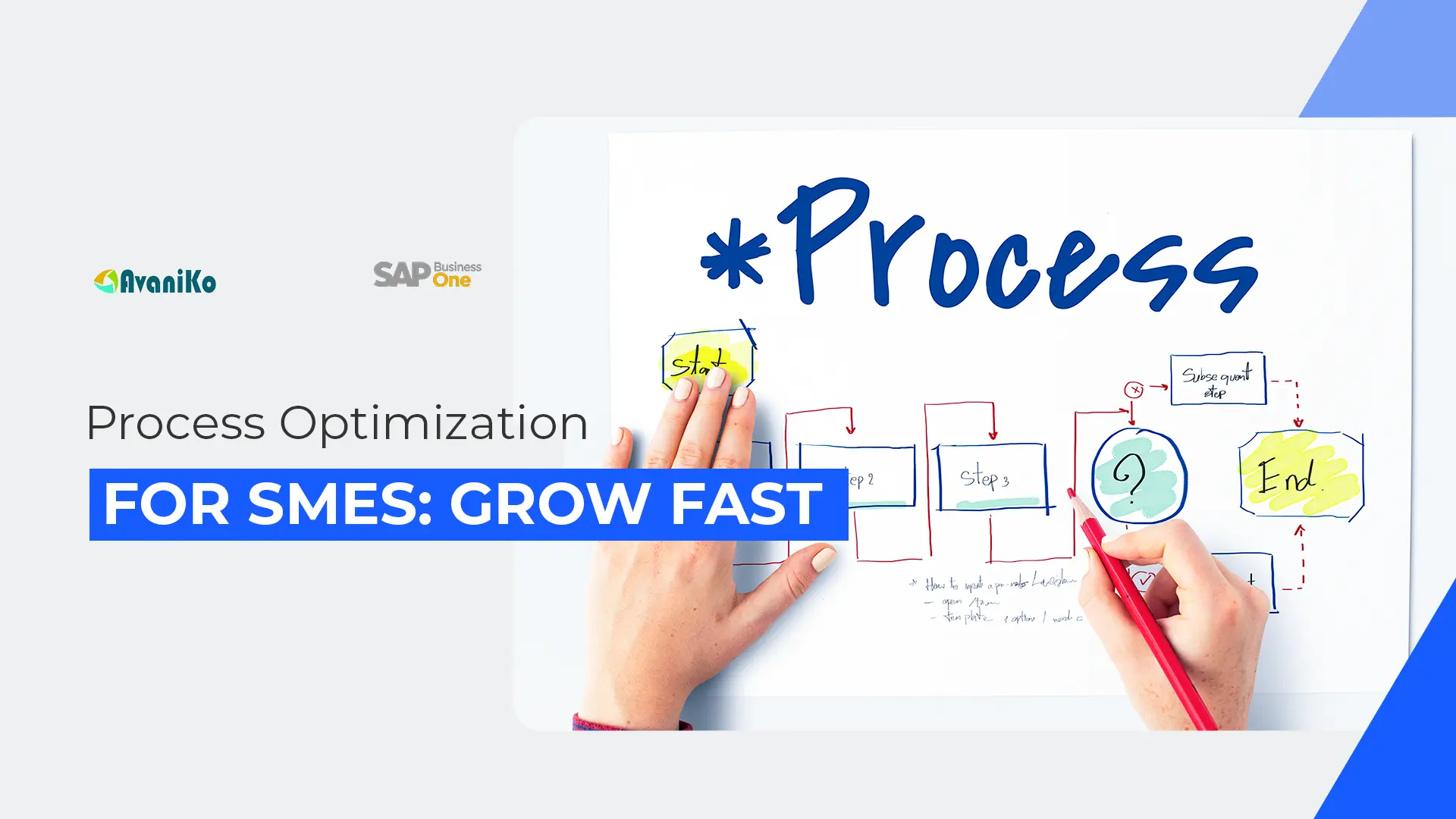 Process Optimization for SMEs: Grow Fast - Avaniko